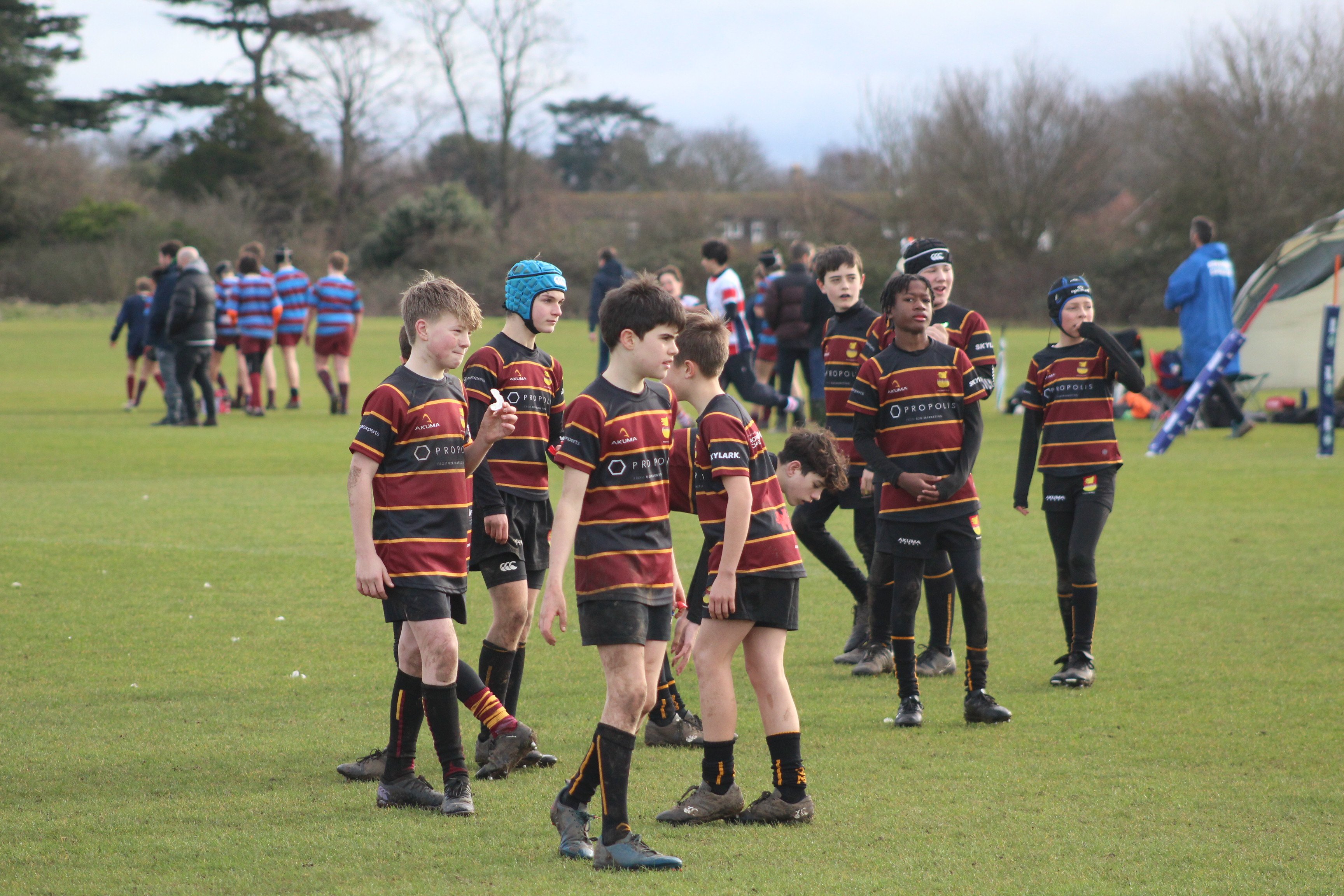 U13 & U14 Foundation Festival In Partnership With Middlesex County Rugby